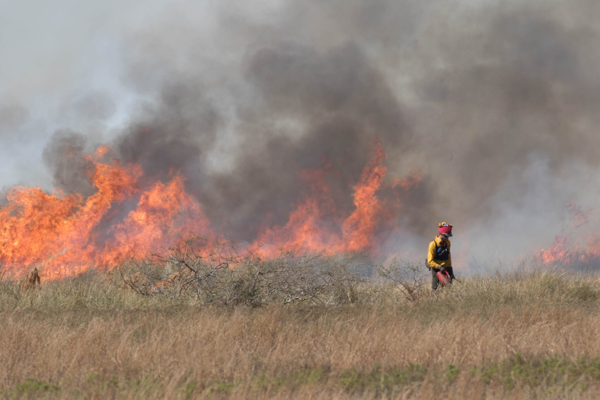 Land Stewardship Through Ranching, Science, and Education East Foundation