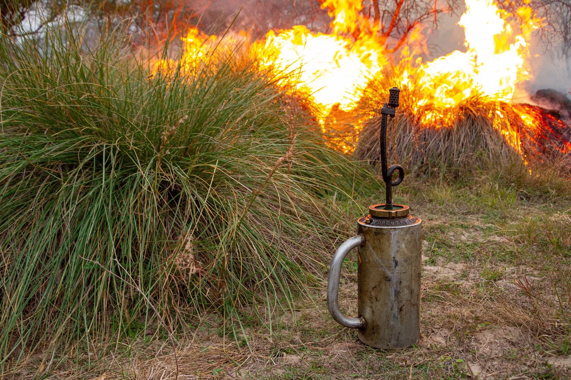 Management Bulletin No. 5: Patch Burning as a Management Tool for ...