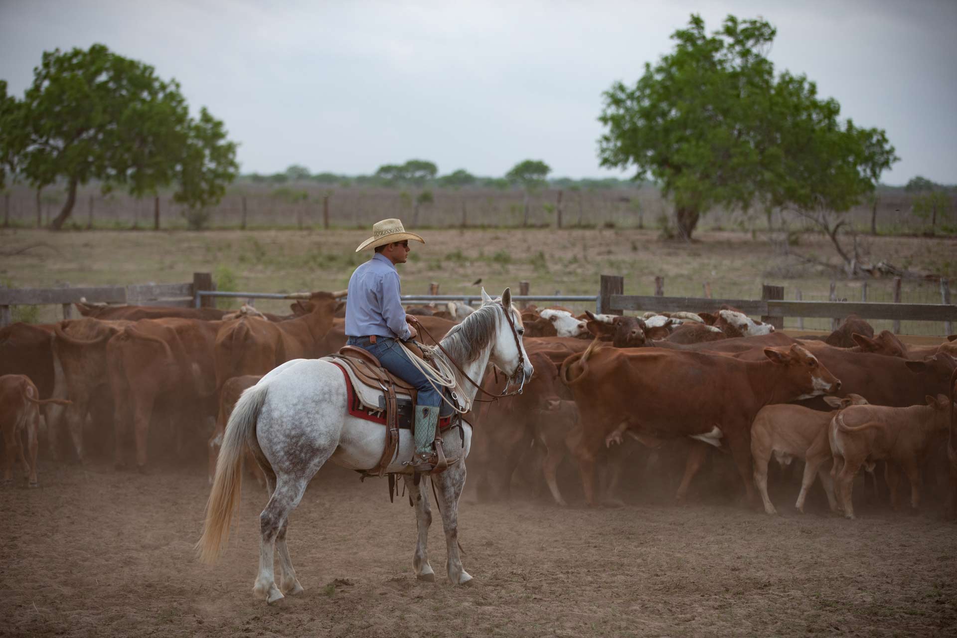 From King Ranch Institute for Ranch Management - New Educational ...