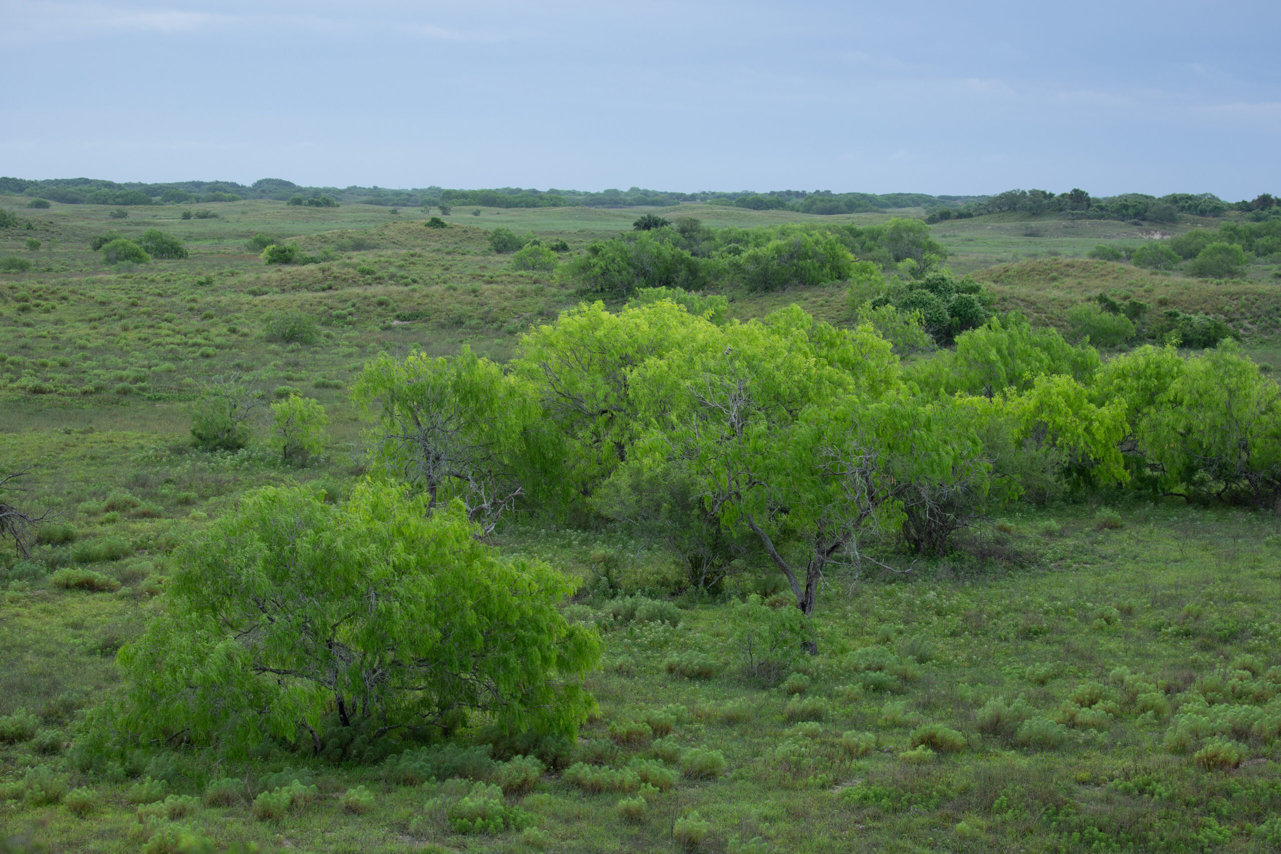 From The San Antonio Business Journal - Rancher Profile: East ...