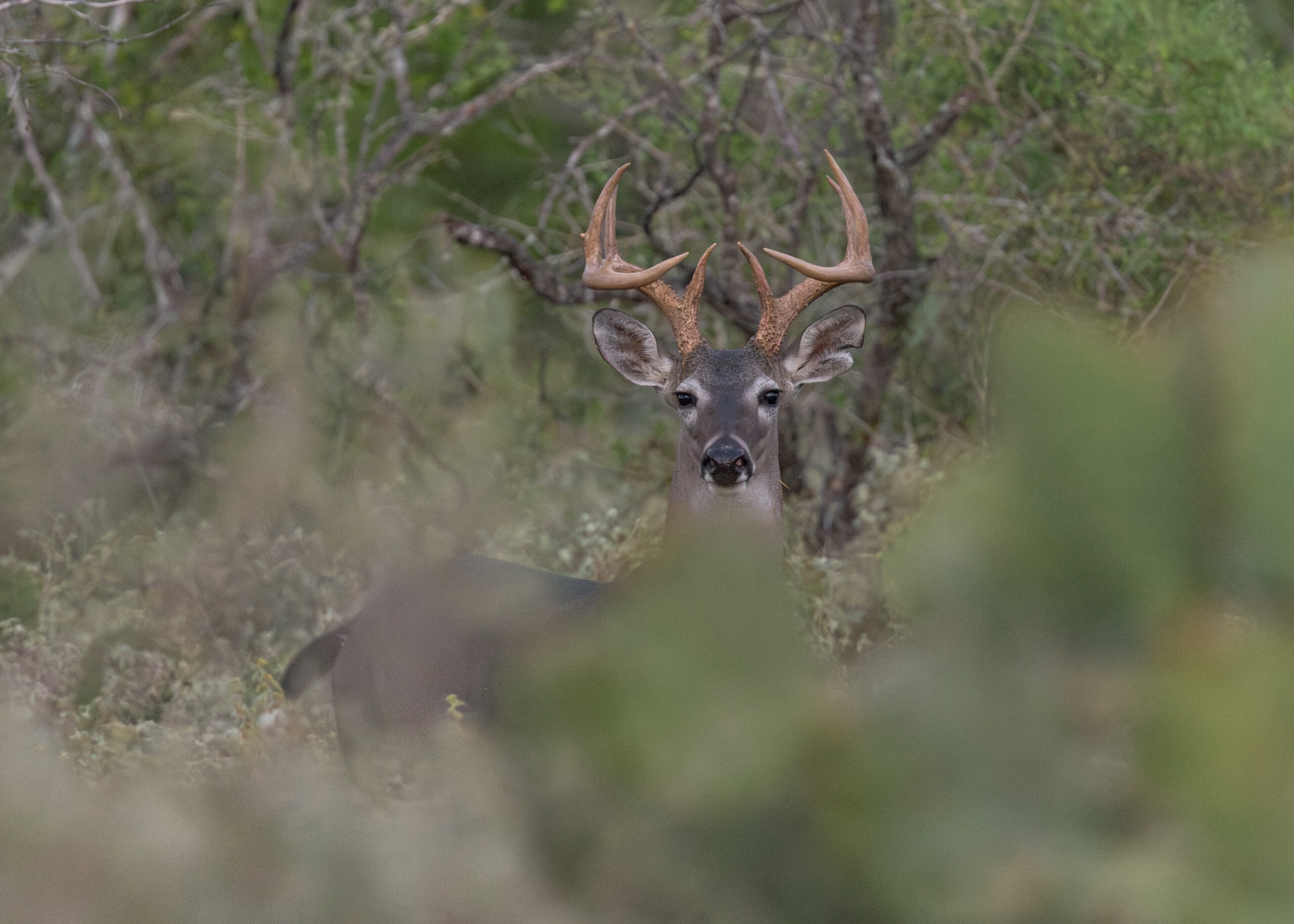 Fall 2025 Newsletter East Foundation